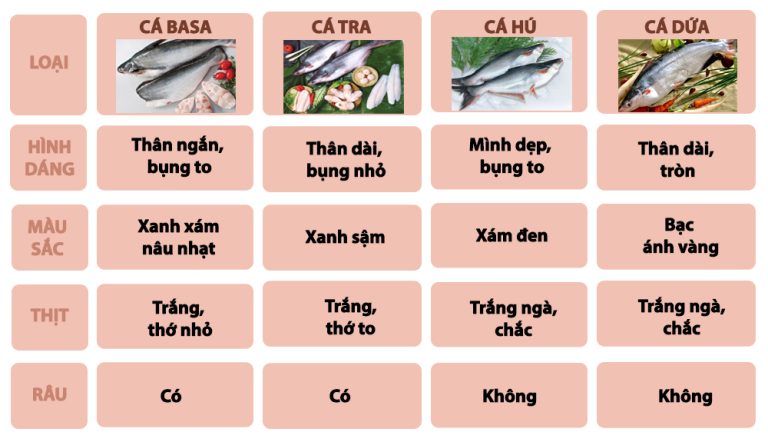 Dinh dưỡng và cách chế biến món ngon từ nước cốt dừa